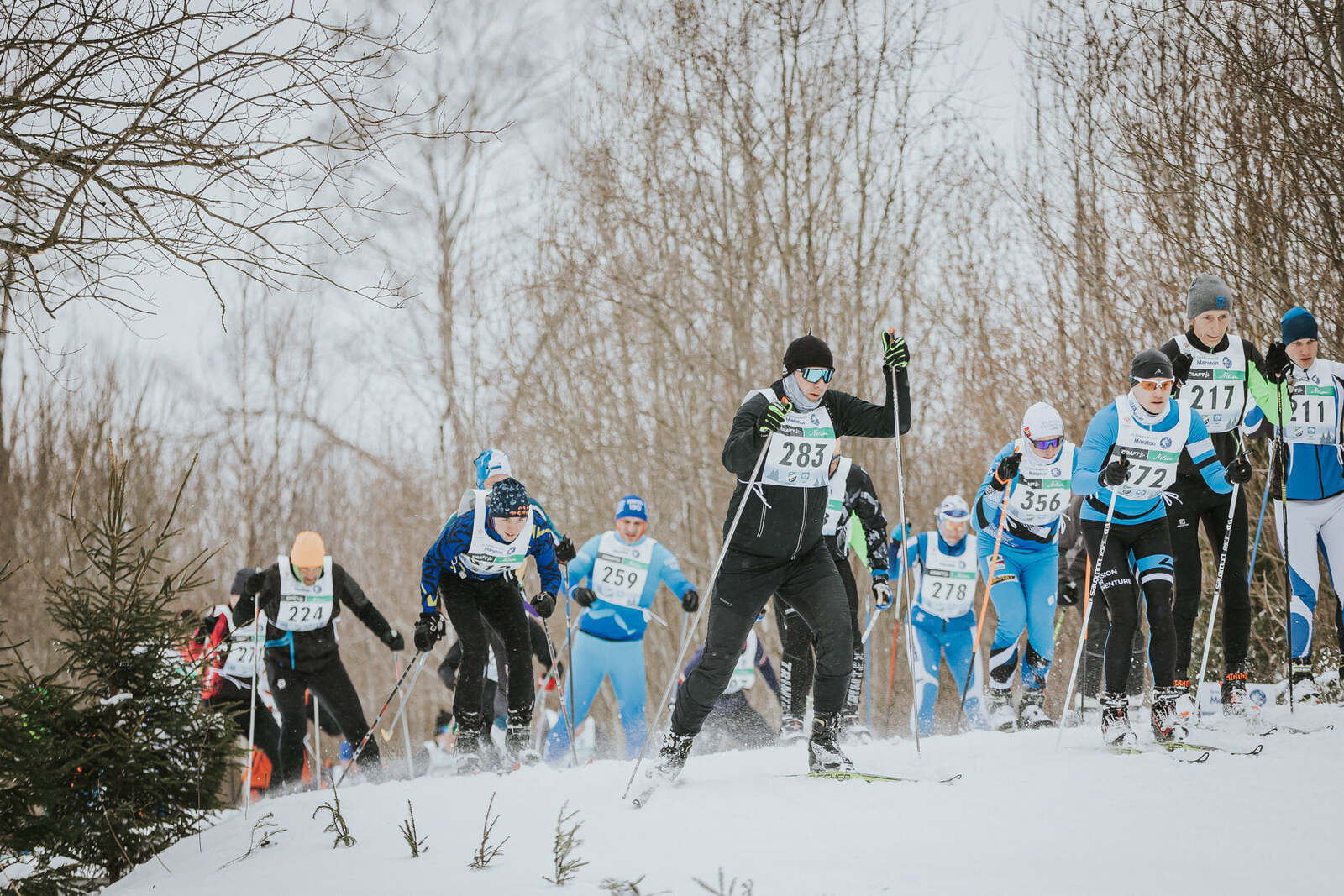 Uudised - 24. Tamsalu-Neeruti Maraton lükkub lumepuuduse tõttu edasi
